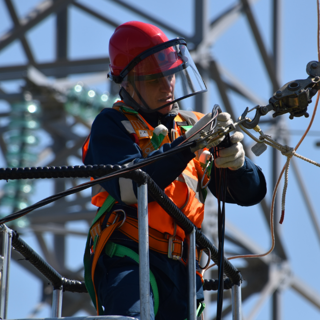 Fidelity - Sustainable Energy